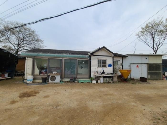 경매알리미